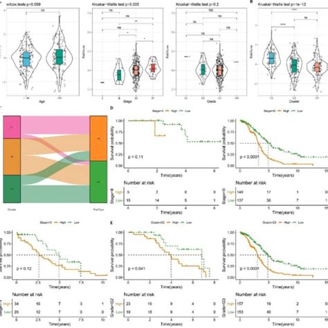 Prognostic Significance Of Risk Predictive System In Different Clinical Download Scientific