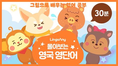 어린이 영어 공부 단어 카드로 30분 학습하기 I 링고애니 Youtube