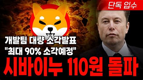 시바이누 코인 개발팀 소각 90 논의 완료 공식발표 역대급 대폭등 시바이누 시바이누코인 코인 Youtube