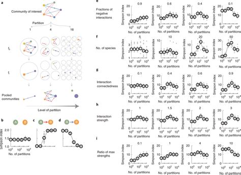 An Emerging Biphasic Dependence Of Biodiversity On Partitioning