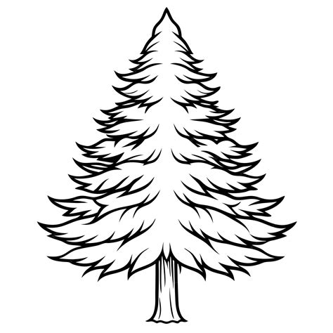 Cedar Tree Outline Coloring Book Page Line Art Drawing Premium Ai