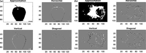 Discrete Wavelet Transformation Images With Approximation Vertical