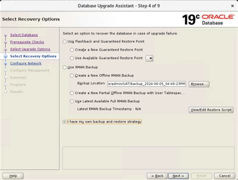 Step By Step Guide To Upgrade Ebs Database 11g And Application 121 To 19c Db And 12213 Apps
