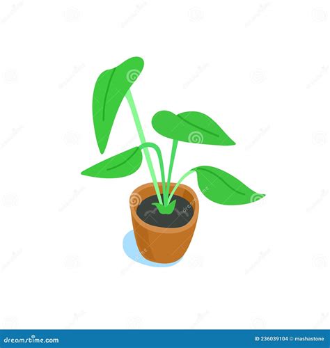 Potted Indoor Plant Illustration Leafy House Plant In A Pot Flat