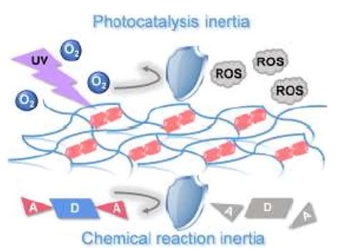 Hot Paper Intrinsically Inert Hyperbranched Interlayer For Enhanced