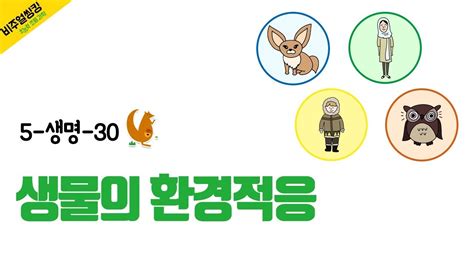 [초능력 비주얼씽킹 과학] 5 생명 30 생물의 환경적응 Youtube
