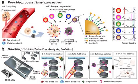 2008 Present Kblee Group Institute For Nanobiomedical Research