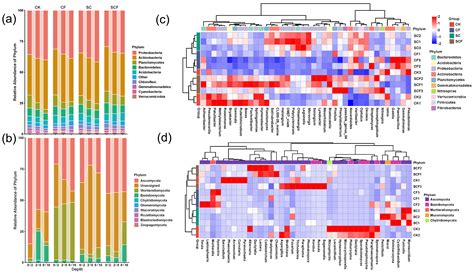 Synthetic Microbial Community Promotes Bacterial Communities Leading To