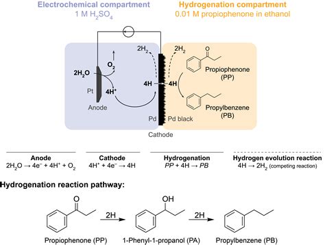 Hydrogen Production And Utilization In A Membrane Reactor