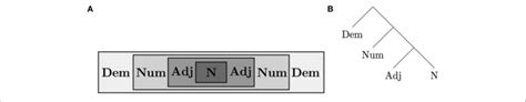 Nested Representation A And Hierarchical Representation B Of