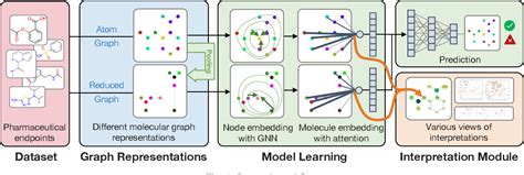 Enhancing Model Learning And Interpretation Using Multiple Molecular Graph Representations For