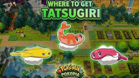 How To Get Tatsugiri In Pokemon Pokopia Youtube