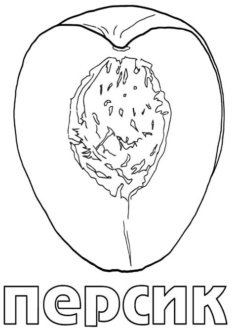 Раскраски персик еда Распечатать раскраски на сайте Слоник играет на баяне Скачать раскраски