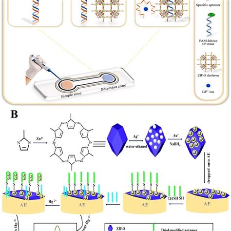 Aptamer Based Mof Sensor For Sensing Of Different Pesticides A Download Scientific Diagram