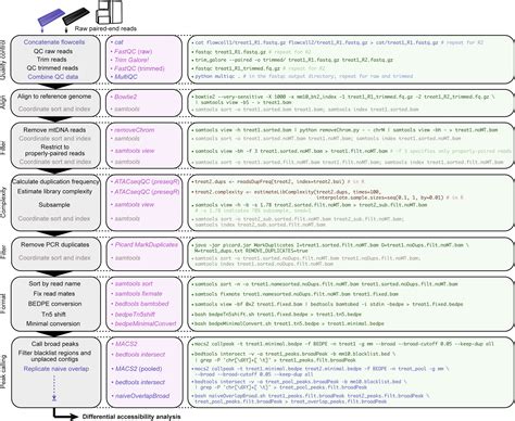 Github Reskejakatac Seq Basic Workflow For Atac Seq Analysis
