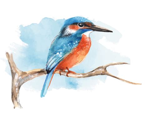 Development Progress Life Style Edge