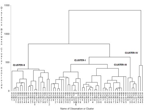 Average Linkage Based Dendrogram Showing Hierarchical Grouping Patterns