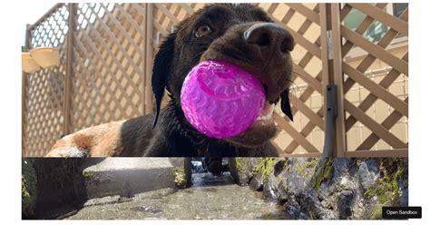 React Slideshow Codesandbox