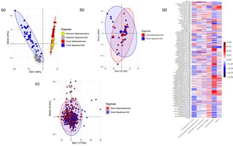 Deep Representation Learning Of Tissue Metabolome And Computed