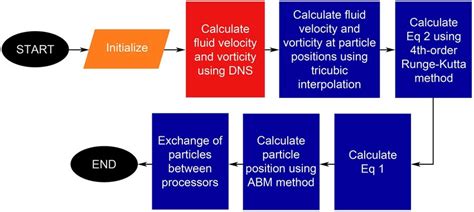 Numerical Simulation Workflow The Red Box Corresponds To The Fluid