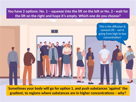Movement Of Substances In And Out Of Cells Complete Bundle For Section 2d Edexcel Igcse