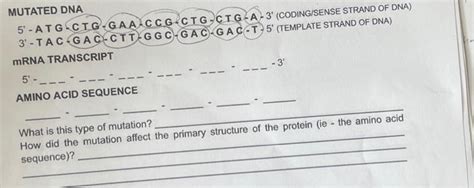 Solved Mutated Dna 5 A T G C T G Gaa C C G C T G Ct