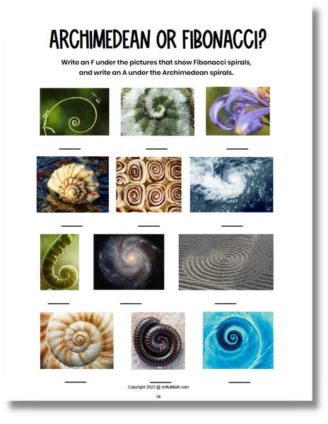 Fibonacci Sequence In Real Life