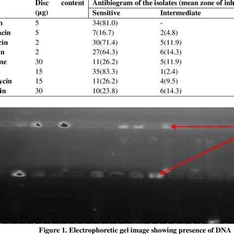 Susceptibility Pattern Of The Methicillin Resistant Staphylococcus Download Scientific Diagram