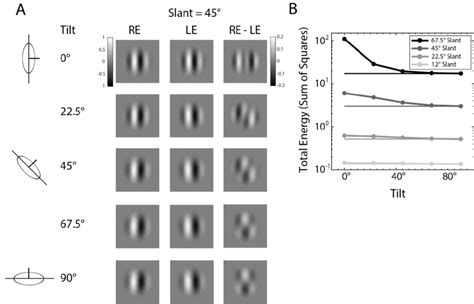 Hypothetical Binocular Receptive Fields Tuned To Surface Orientation