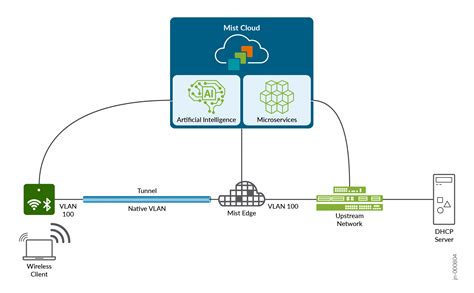 Edgerouter Dhcp Relay Not Working At Dakota Bunce Blog