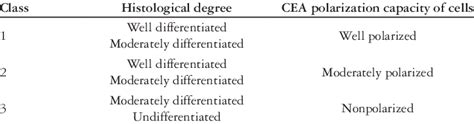 Morphofunctional Classes Of Crc Download Table