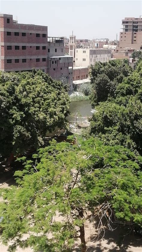 مفقودات بشبرا الخيمة