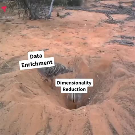 Godwin Festus On Linkedin This Says So Much About Data And Its