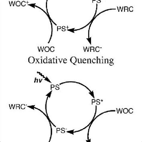 Simplified Schematic Representation Of Two Different Pathways For Download Scientific Diagram