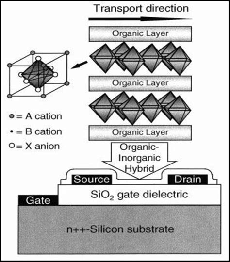 Schéma Dun Transistor à Effet De Champ Basé Sur La Pérovskite Hybride Download Scientific