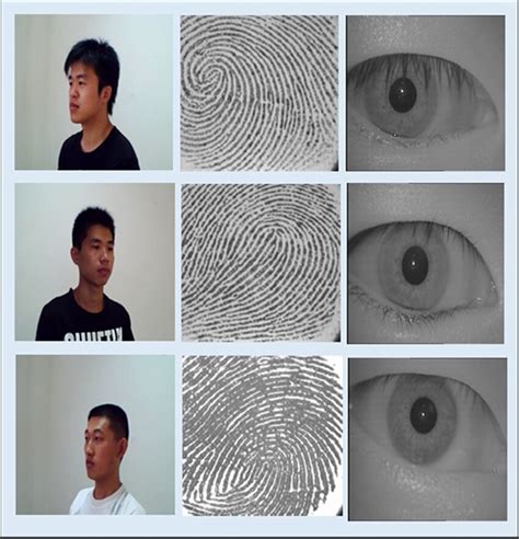 Multimodal Biometric Images Of 3 Persons Download Scientific Diagram