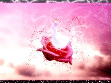 Autos Conselhos Tipos De Magia