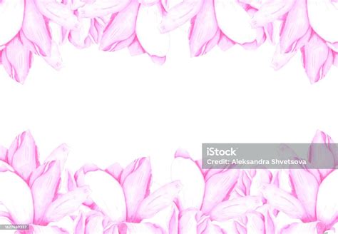 손으로 그린 수채화 핑크 목련 꽃 프레임 하숙인 흰색 배경에 격리되어 있습니다 초대장 엽서 배너 라벨에 사용할 수 있습니다 0