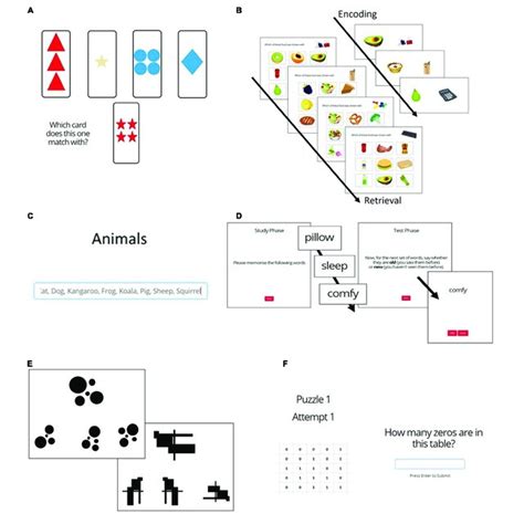 Cognitive Tasks A Wisconsin Card Sorting Test B Pictorial