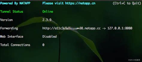 内网穿透（mac，window，linux通用）1分钟实现外网访问电脑本地服务器 本地内网穿透 csdn博客