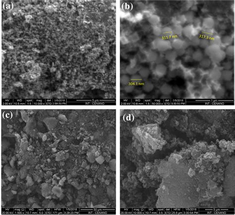 Scanning Electron Microscopy Micrographs Of Sio2 Cab O Sil® A 10000x Download Scientific