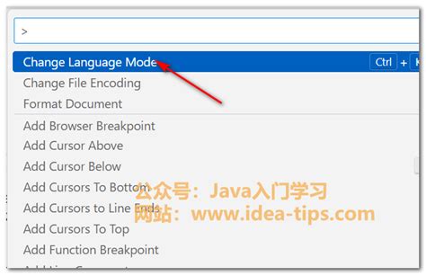 Vscode如何更改文件语言模式为json格式 Java入门学习 博客园