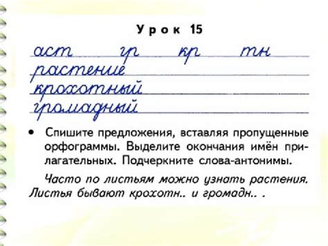 Чистописание 4 класс