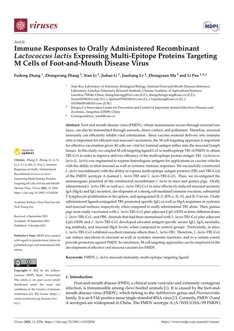 Pdf Immune Responses To Orally Administered Recombinant Lactococcus Lactis Expressing Multi