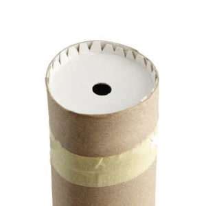 Поделки из рулонов туалетной бумаги своими руками. Лучшие идеи