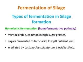 Silage Pptx