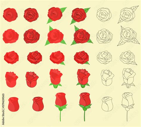 플로럴일러스트 Stock Vector Adobe Stock