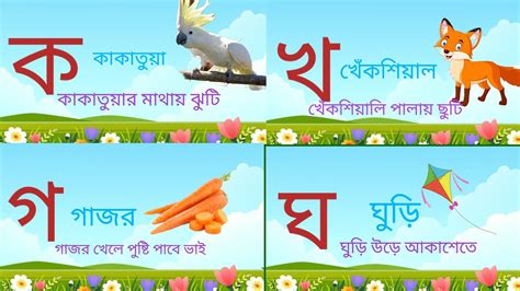 ক তে কাকাতুয়া। ক খ গ ঘ। বাংলা ব্যঞ্জনবর্ণ পরিচয়। ব্যঞ্জনবর্ণ দিয়ে শব্দ ও বাক্য গঠন