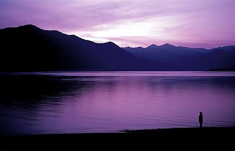 분홍색과 보라색 하늘 국내여행 노란색 바다 배경 일러스트 및 사진 무료 다운로드 Pngtree