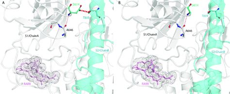3d Modelling Of Sars Cov 2 Spike Protein Showing Suggested Bonds For